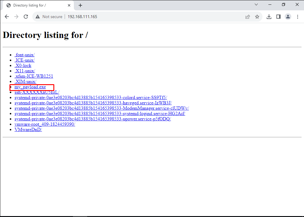 FIN6 Adversary Emulation - Phase 1 | King Anthony Orande